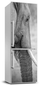 Wallmuralia Samolepící nálepka na ledničku stěnu Slon 60x180 cm