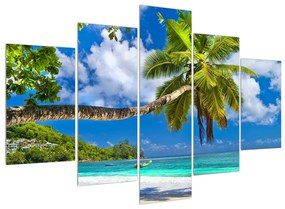 Obraz palmy a pláže (150x105 cm)