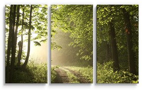 Sablio Obraz - 3-dílný Lesní cesta - 120x80 cm