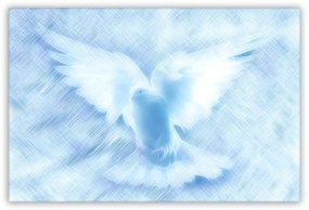 Malvis ® Obraz nebeská holubice Velikost (šířka x výška): 90x60 cm