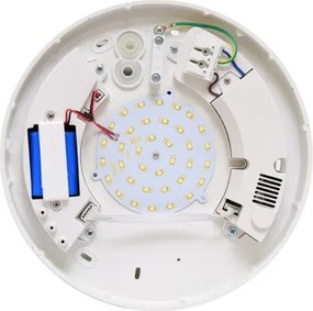 Ecolite W131/EM/LED/B-4100