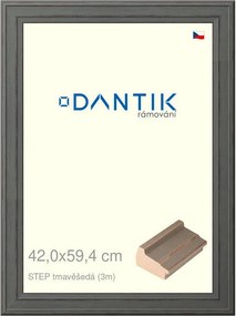 DANTIK rámeček 42x59,4 | STEP tmavěšedá (Plexi Čiré)