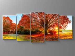 Liox Obraz strom v paprscích slunce Rozměr: 250 x 110 cm