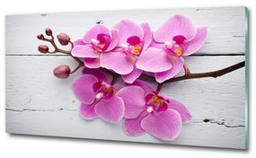 Wallmuralia Foto obraz skleněný horizontální Orchidej a na stromě 100x50