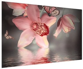 Obraz květů a motýla (120x80 cm)