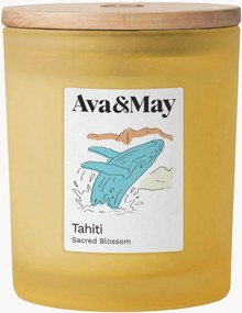 Vonná svíčka Tahiti (monoi, tahitská vanilka a ambra)
