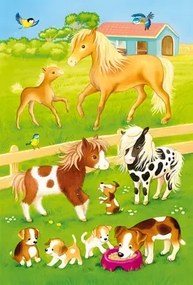 SCHMIDT Puzzle Přátelé ze statku / 3x24 dílků / od 3 let / 26,3 x 17,8