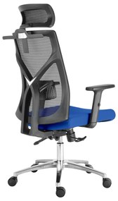 Kancelářská židle ERGODO WESTON Barva: černá