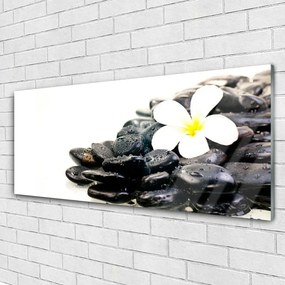 akrylový obraz Květiny Kameny Umění 125x50 cm
