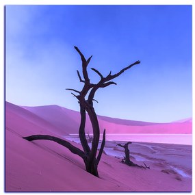 Obraz na plátně - Mrtvý strom v dunách - čtverec 3130FA (80x80 cm)