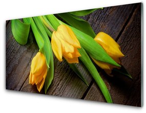 Obraz na skle Tulipány Květiny 120x60 cm
