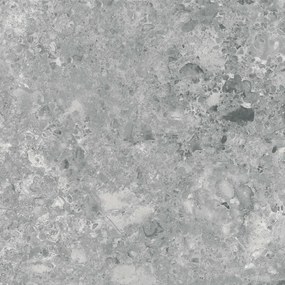 Dlažba Rako Atacama šedá 60x60 cm mat DAK62121.1