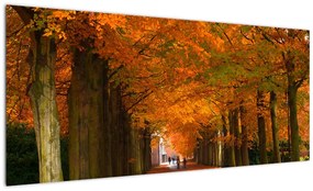 Obraz - cesty lesem na podzim (100x40cm)