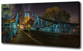 Wallmuralia Foto obraz na plátně Most zamilovaných 100x50