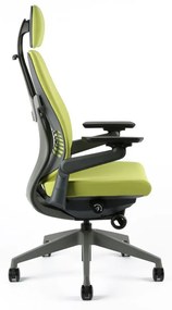 Kancelářská ergonomická židle Office Pro KARME — více barev, s podhlavníkem a područkami Modrá F03