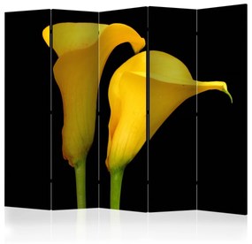 Paraván - Two yellow calla flowers on a black background II [Room Dividers]