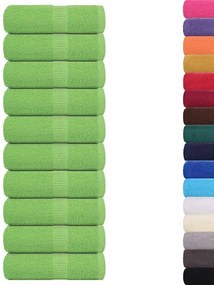 Ručníky FROGN 10 ks jablečně zelené 30x30 cm 360 g/m² 137018