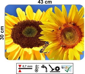 PokojovaDekorace.cz, Prostírání - 287, Slunečnice, 43x30cm