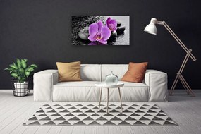 Obraz na plátně Orchidej Květiny Kameny Zen 120x60 cm