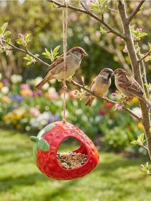 Sinsay - Krmítko pro ptáky ve tvaru jahody - červená