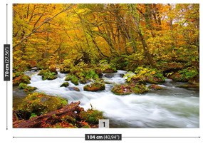 Fototapeta Řeka v Japonsku 104x70