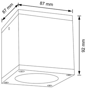 Venkovní nástěnné svítidlo MORRIS 1xGU10/35W/230V IP54