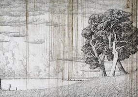 Fototapeta - Strom - starý papír (254x184 cm)