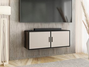 TV skříňka ROJO 2 černý + kašmír uzavřená TV skříňka s policí