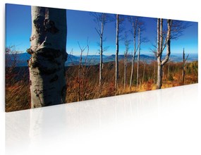 Malvis ® Obraz Cestou z Lysé hory Velikost (šířka x výška): obdélník - 130x60 cm