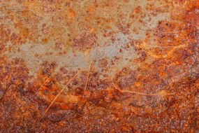 DIMEX | Samolepicí vliesová fototapeta na zeď Plát rezavého kovu MA-5-2628 | 375 x 250 cm | měděná