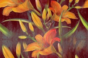 Samolepící tapeta rozkvět lilie - 450x300 cm