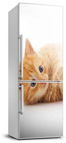 Wallmuralia Nálepka fototapeta lednička Malá červená kočka 60x180 cm