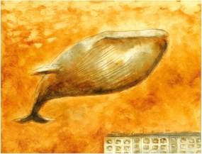 Martina Trchová | Velryba Rám: Bílý, Velikost: 40 x 60 cm