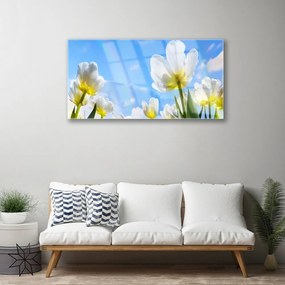 Obraz na skle Rostliny Květiny Tulipány 120x60 cm