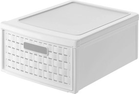 XXXLutz ZÁSUVKOVÝ BOX Rotho - Organizéry & pořadače - 003294017102