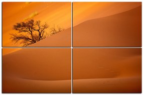 Obraz na plátně - Červené písečné duny 1133E (150x100 cm)