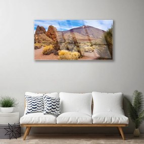 akrylový obraz Hory Rostliny Skály Krajina 100x50 cm