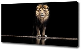 Wallmuralia Foto obraz na plátně do obýváku Portrét lva 100x50