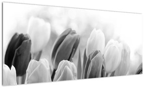 Tulipány, obraz (100x40cm)
