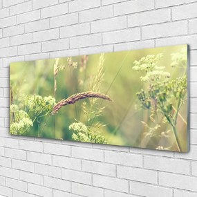 akrylový obraz Divoké Rostliny Příroda 125x50 cm