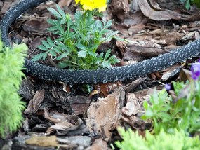 Bradas Zahradní hadice Aqua-Drop - průsaková zavlažovací  1/2" - 15m