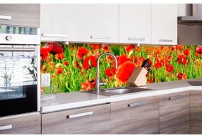 DIMEX | Fototapeta do kuchyně Červené vlčí máky KI-260-028 | 260 x 60 cm | zelená, červená