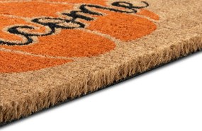 Hanse Home, Rohožka Welcome (dýně) 105665 - na ven i na doma, 45x75, oranžová, chodba / předsíň