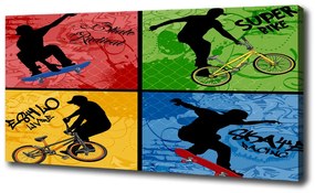Wallmuralia Moderní fotoobraz canvas na rámu Kolo a skateboard 100x50