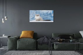 Obrazy na plátně kočka zima 120x60 cm