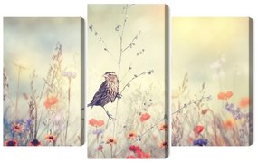 Vícedílný obraz Pták Mezi Divokými Květinami Nedostatek Nedostatek Přírodní plátno 90x60