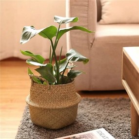 Tutumi, sada přírodních košů Boho 3ks 322161, hnědá, HOM-06668