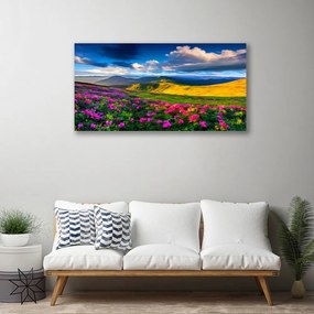 Obraz na plátně Louka Květiny Příroda 120x60 cm
