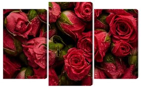 Vícedílný obraz Růže S Kapkami Vody Nedostatek Nedostatek Přírodní plátno 150x100