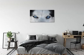 Obrazy na plátně wolf Eyes 125x50 cm